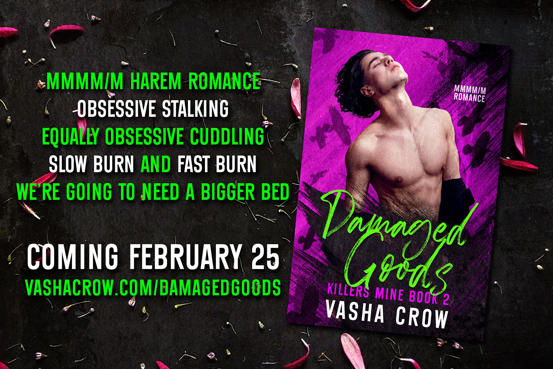 Vasha Crow – Shameless MMMM/M Romance